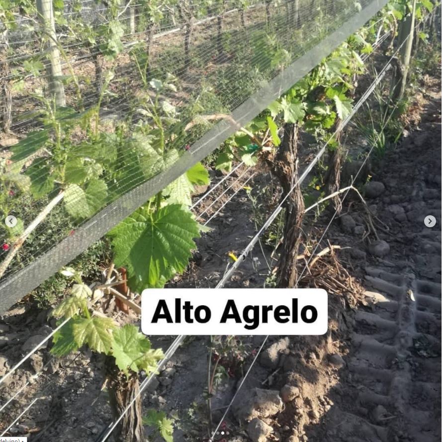 AGRELO – Geografía del Vino