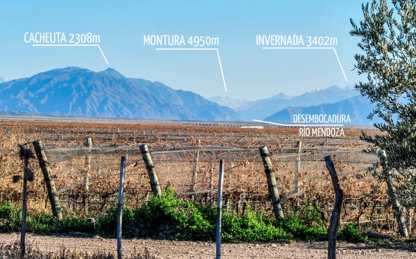 LA HENDIJA DE LOS ANDES – Geografía del Vino